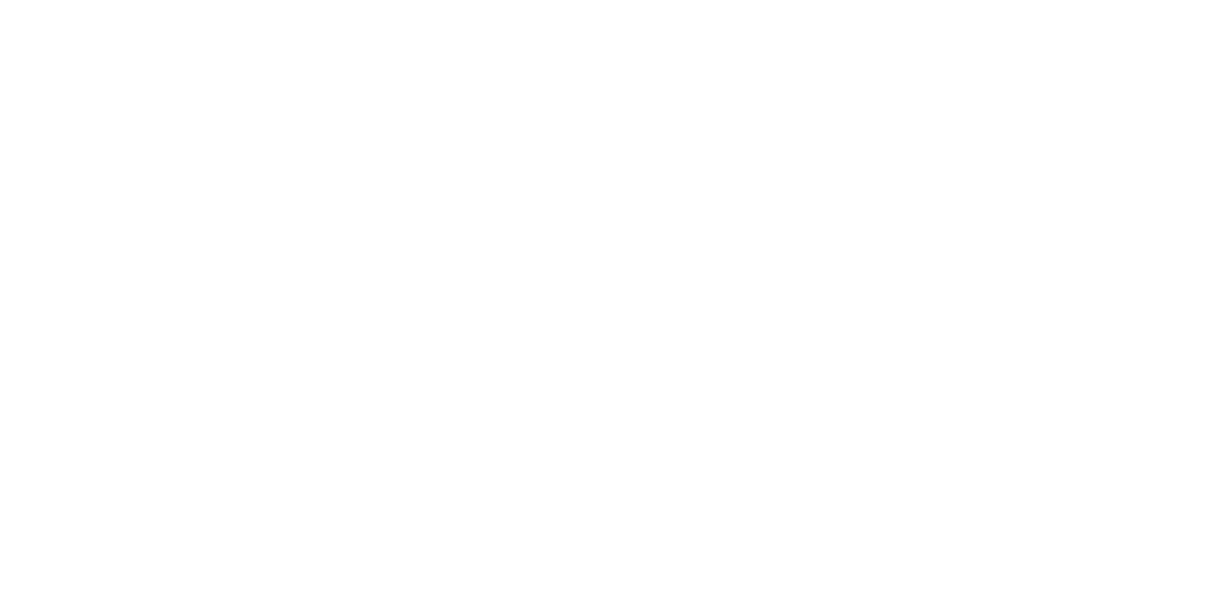 CZ - SK Guns